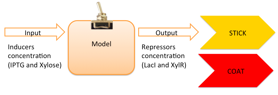 Team:Lyon-INSA/modelling - 2012.igem.org
