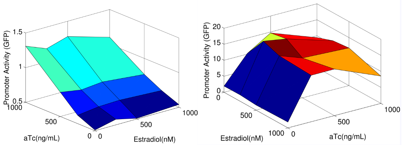Part:BBa K1400005 - parts.igem.org