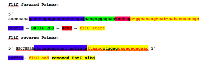Team:Glasgow/Project/Mobility Proteins - 2014.igem.org