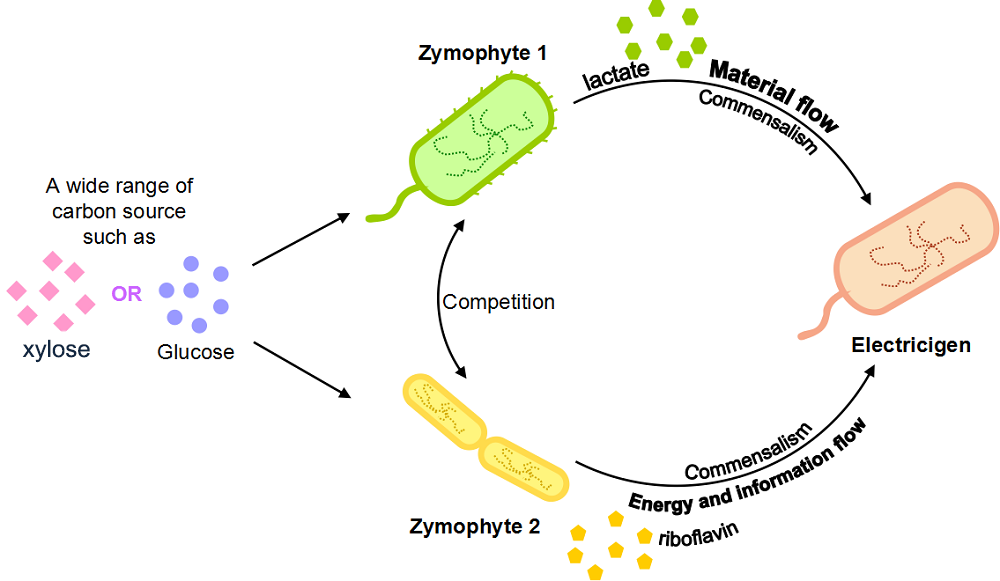 Team:TJU/Overview - 2015.igem.org