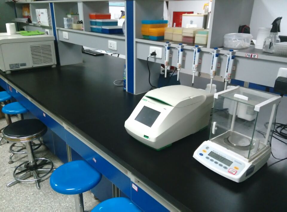 Team:HZAU-China/OutReach/Safety - 2015.igem.org