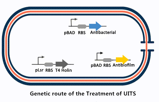 Team:BIT/Game - 2016.igem.org