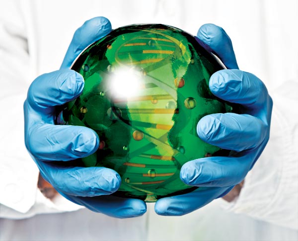 Team:Macquarie Australia/Experiments - 2016.igem.org