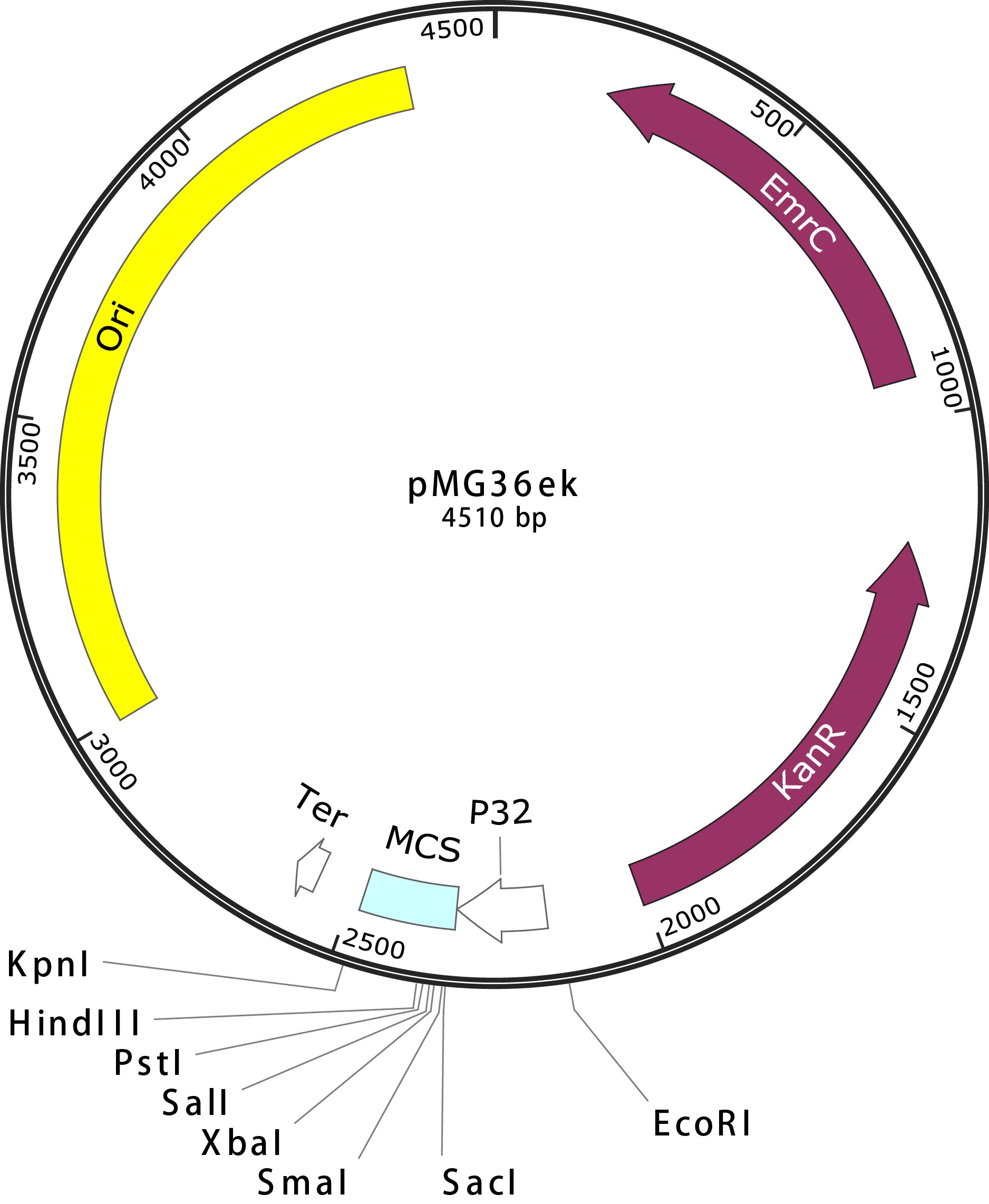 Team:TMMU-China/Results - 2017.igem.org