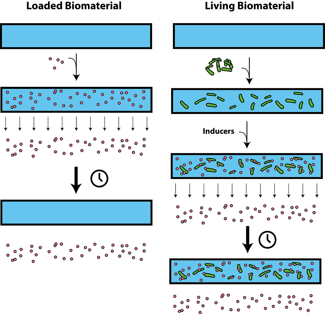 Team:TU-Eindhoven/Applied Design - 2018.igem.org
