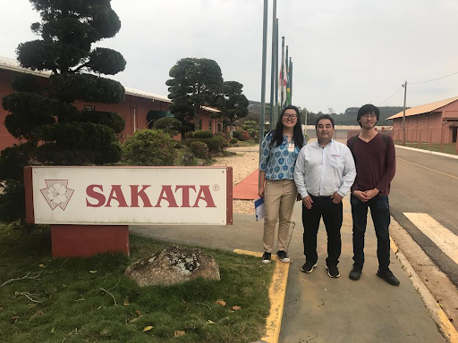 Team:USP-Brazil/SakataSeed - 2019.igem.org