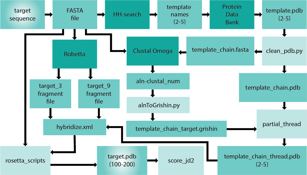 Team:Washington/Model - 2019.igem.org