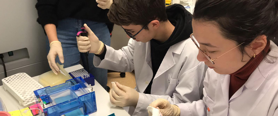 Team:Saint Joseph/Project/ - 2019.igem.org