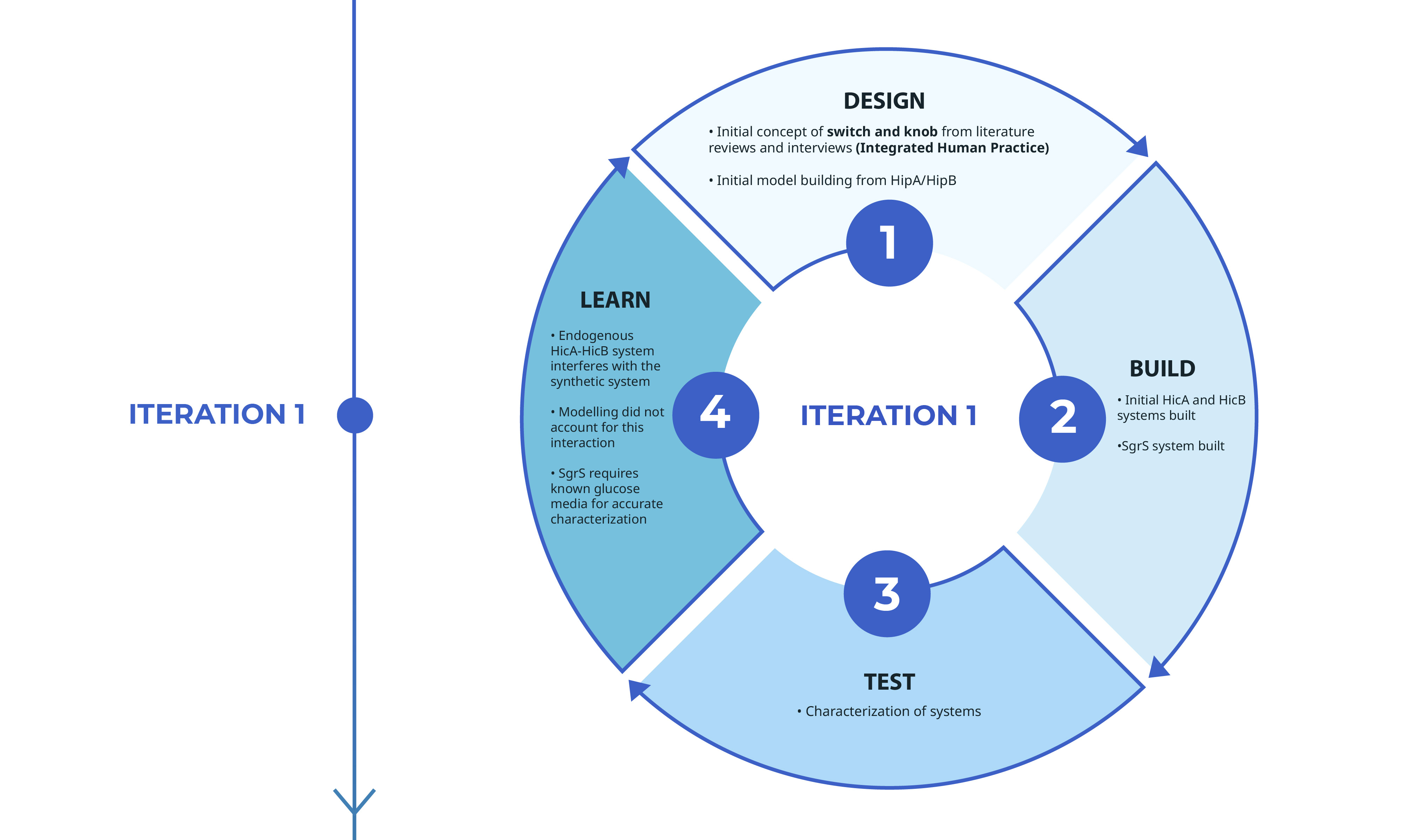 Team:NUS Singapore/DBTL - 2019.igem.org