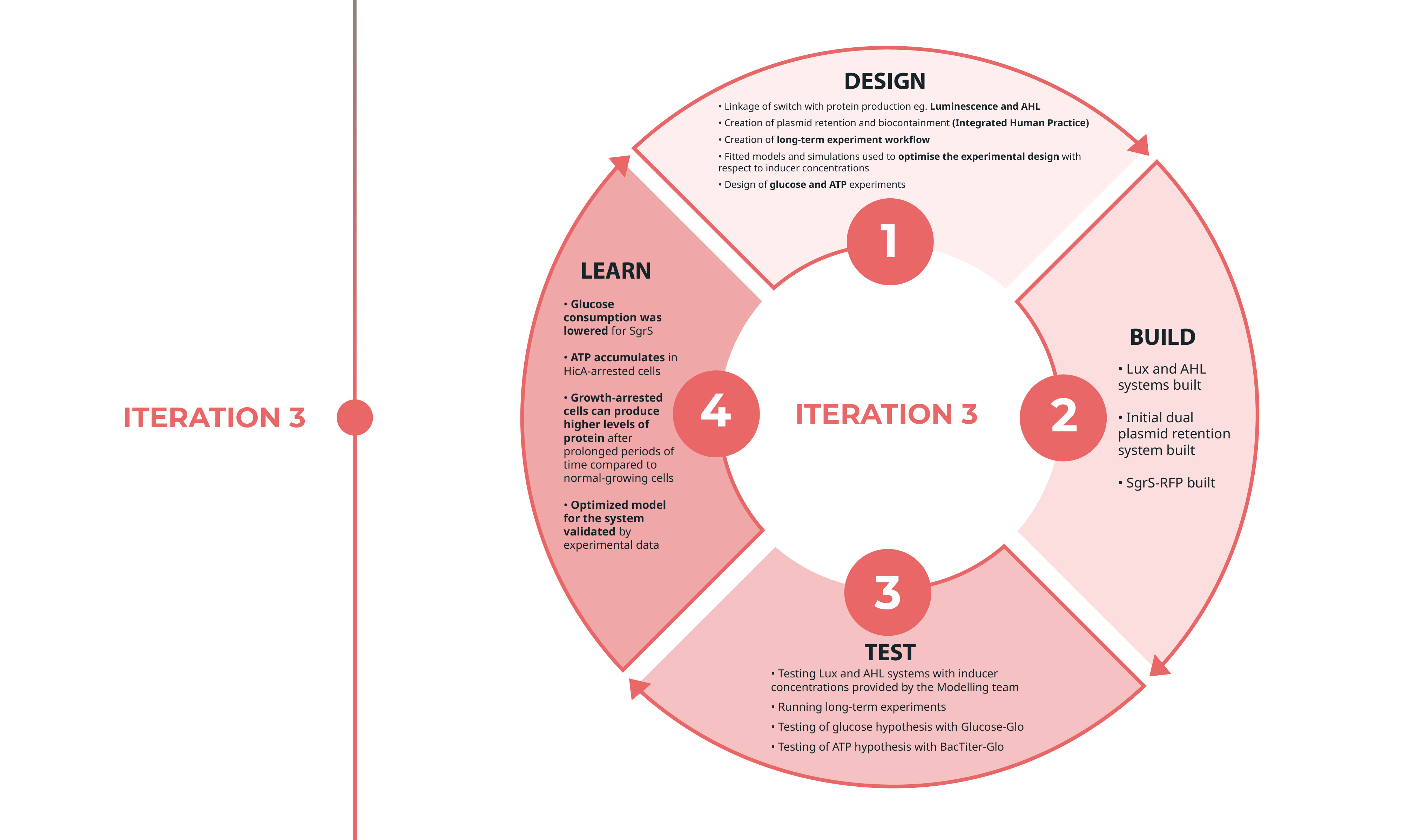 Team:NUS Singapore/DBTL - 2019.igem.org