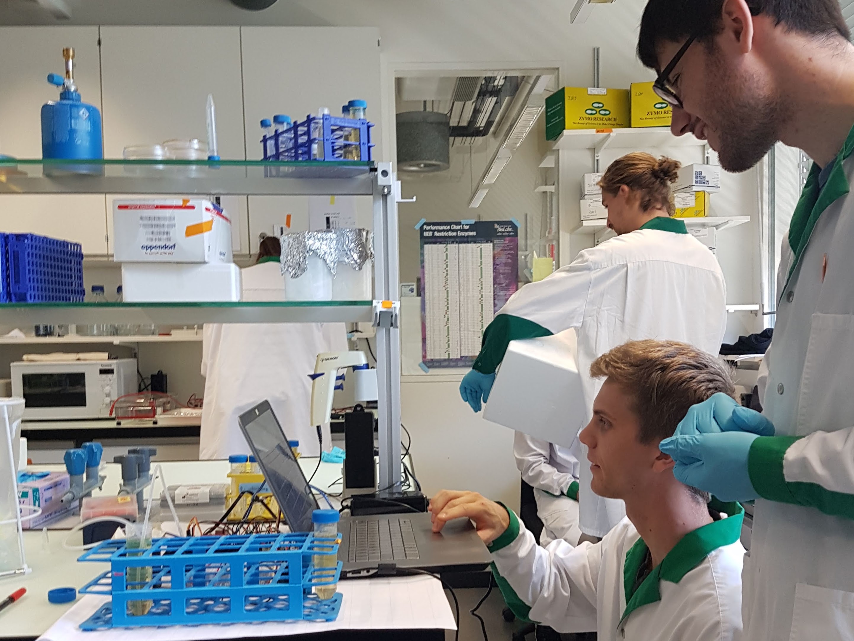 Team:ETH Zurich/core/timeline - 2019.igem.org