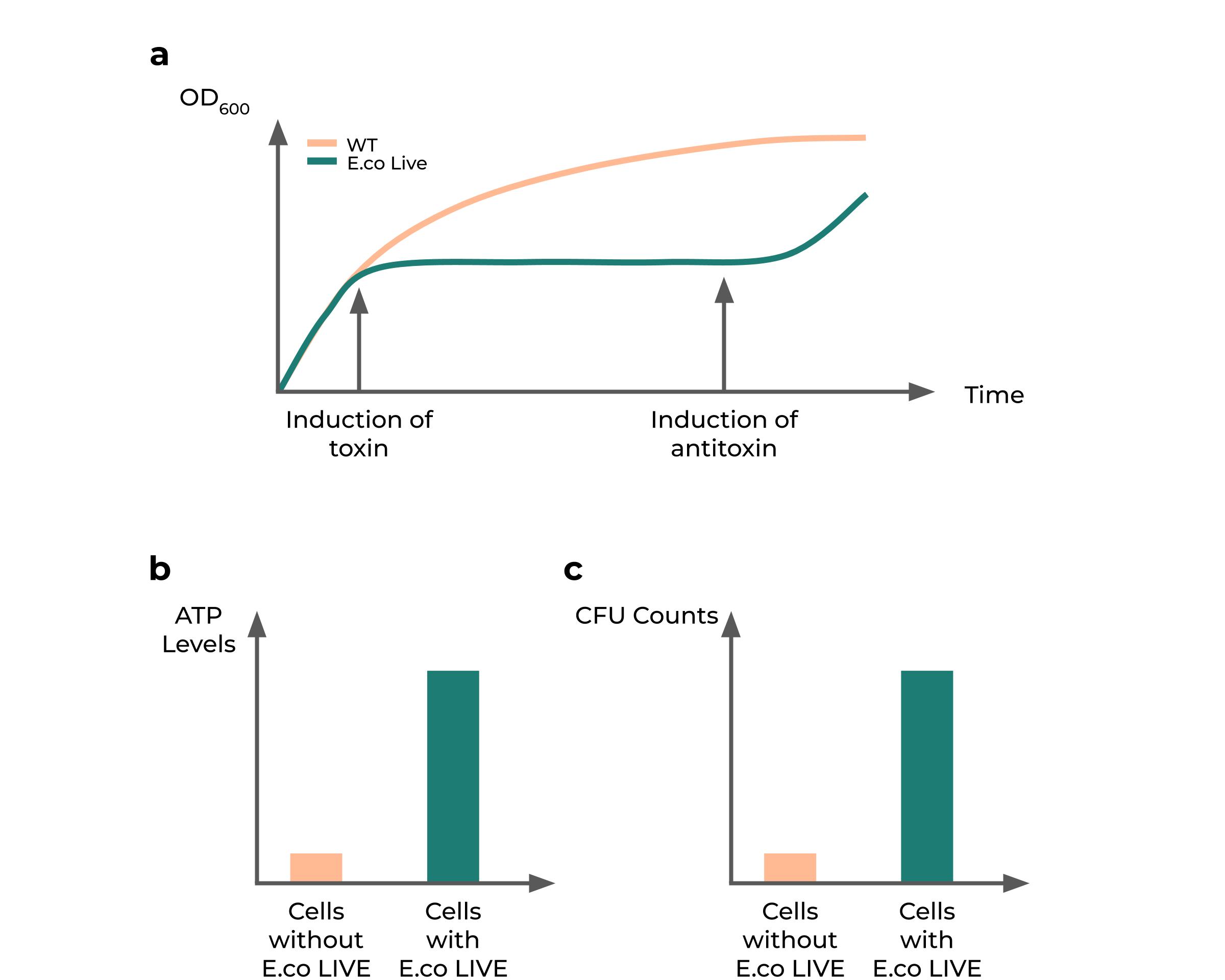 Team:NUS Singapore/Design - 2019.igem.org