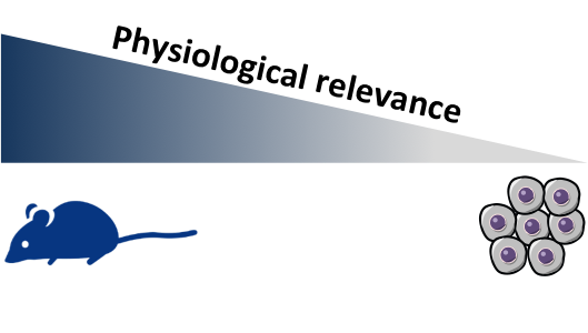 Team:UniGE-Geneva - 2019.igem.org