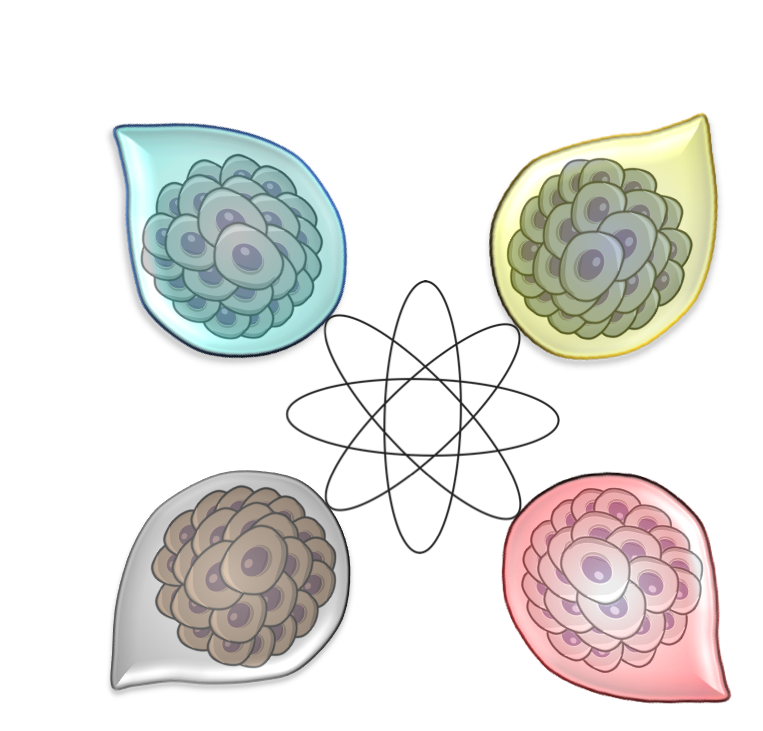 Team:UniGE-Geneva - 2019.igem.org