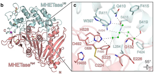 Team:Toronto/Background - 2019.igem.org