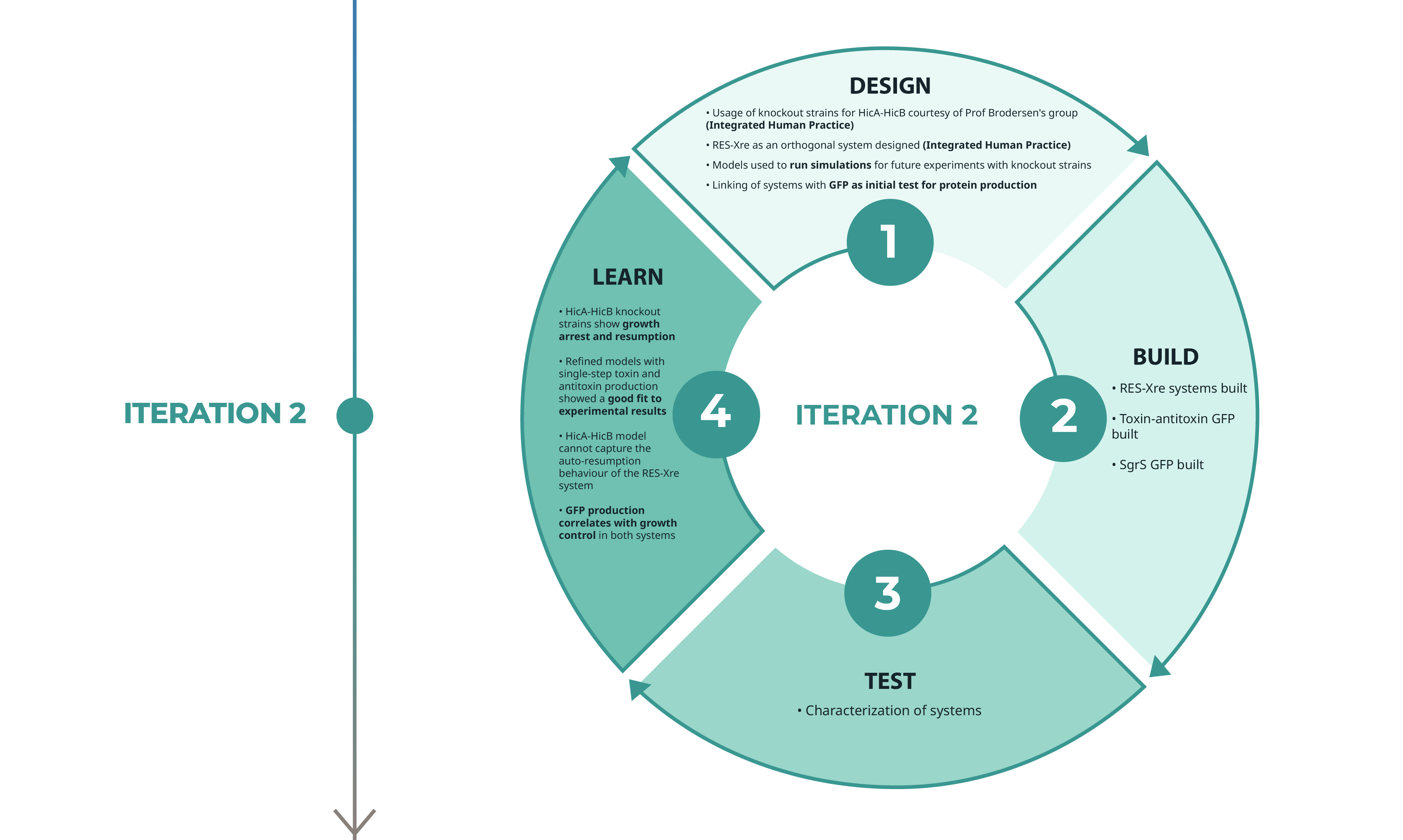 Team:NUS Singapore/DBTL - 2019.igem.org