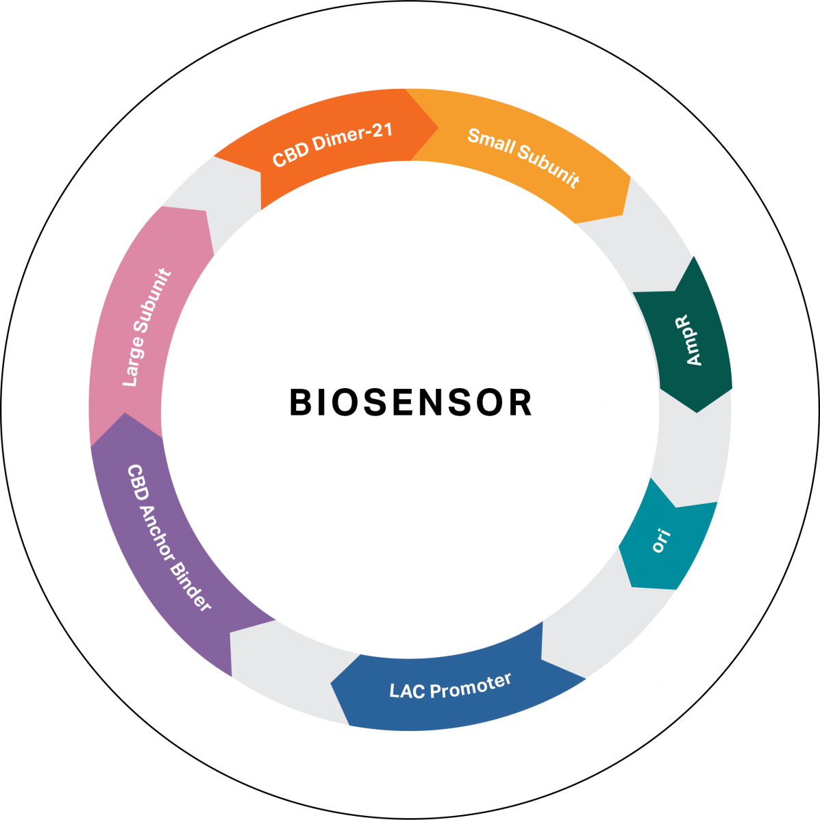 Team:Washington/Design - 2019.igem.org