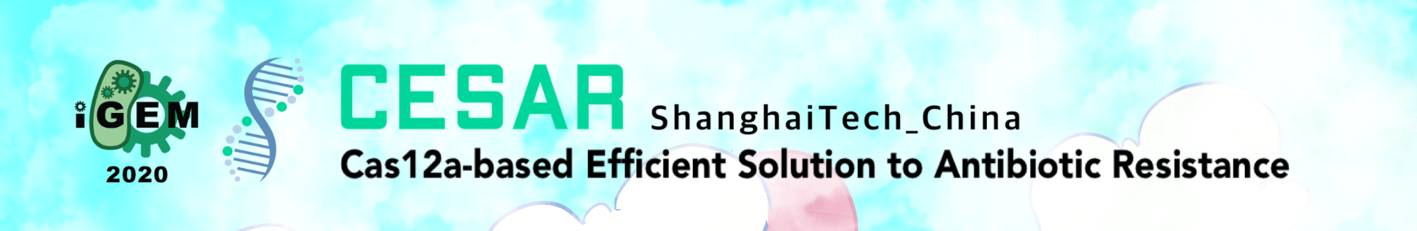 Team:ShanghaiTech China/Poster - 2020.igem.org