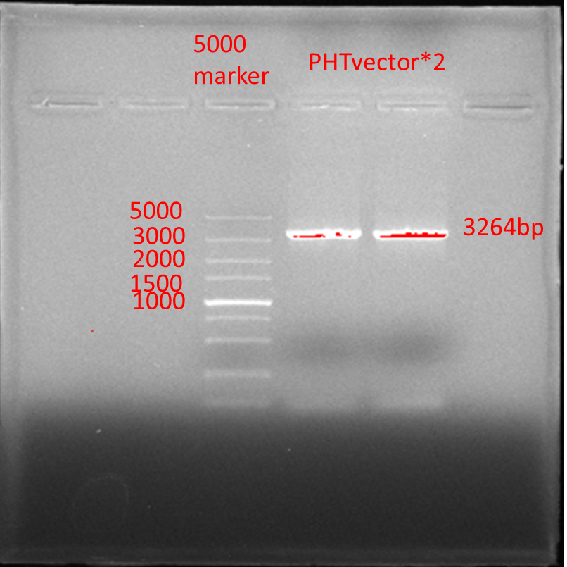 Team:XJTU-China/Engineering - 2020.igem.org