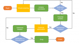 Team:SUSTech Shenzhen/Engineering - 2020.igem.org