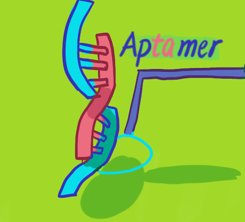 Team:ShanghaiTech China/Poster - 2020.igem.org