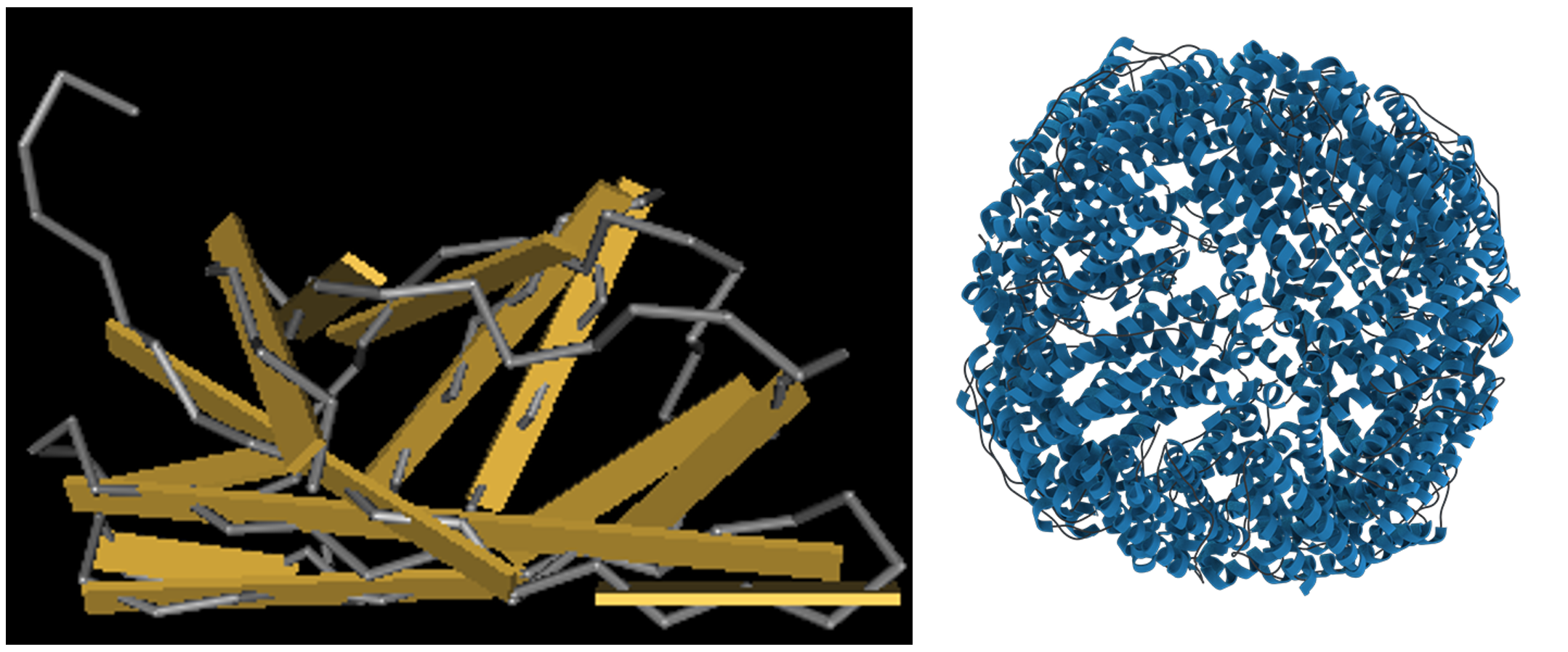 Team:Waterloo/Contribution - 2020.igem.org