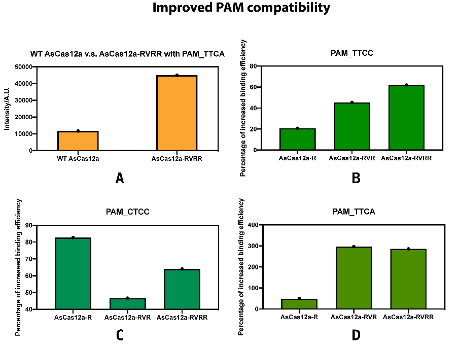 Team:ShanghaiTech China/Poster - 2020.igem.org