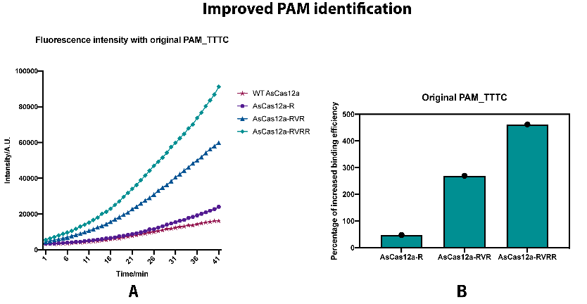Team:ShanghaiTech China/Poster - 2020.igem.org