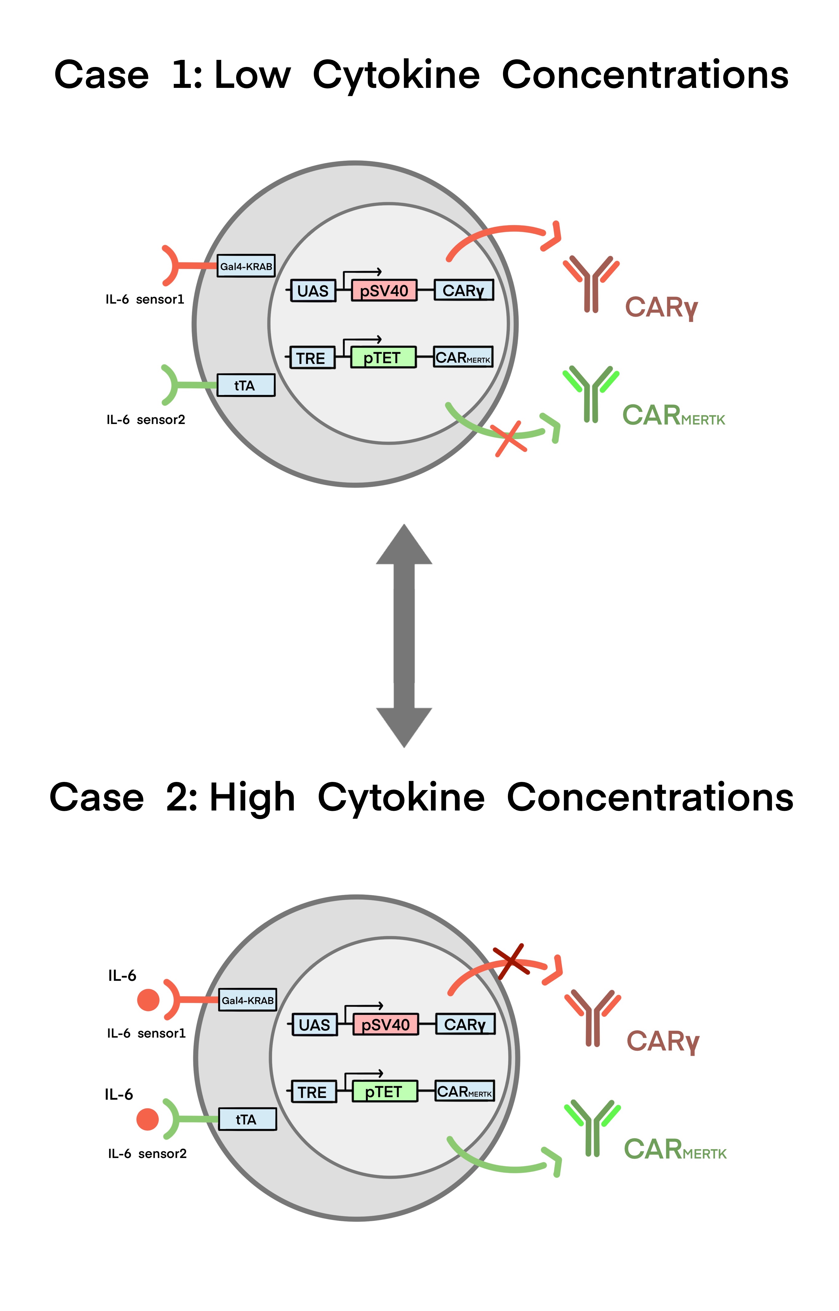 Team:NMU China/Description3 - 2021.igem.org