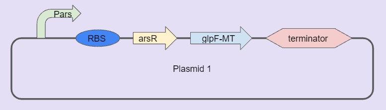 Team:Washington/Model - 2021.igem.org