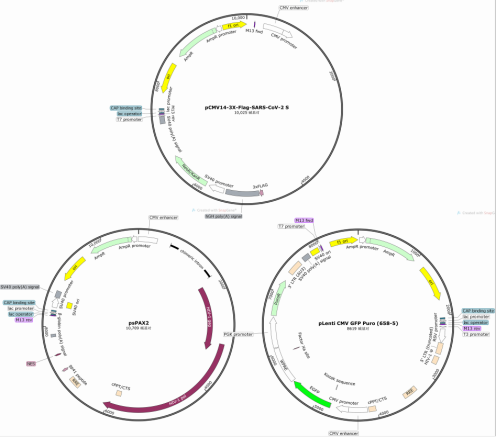 Team:LZU-CHINA/design - 2021.igem.org