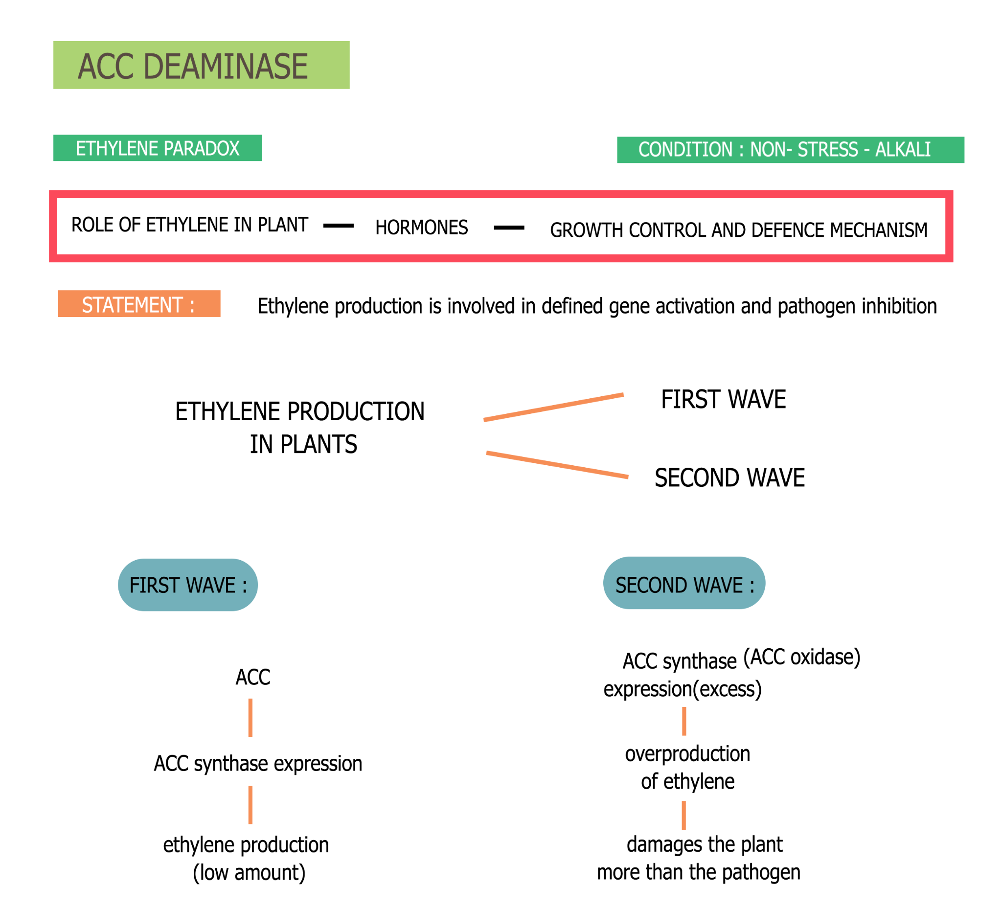 Team:MIT MAHE/Design - 2021.igem.org