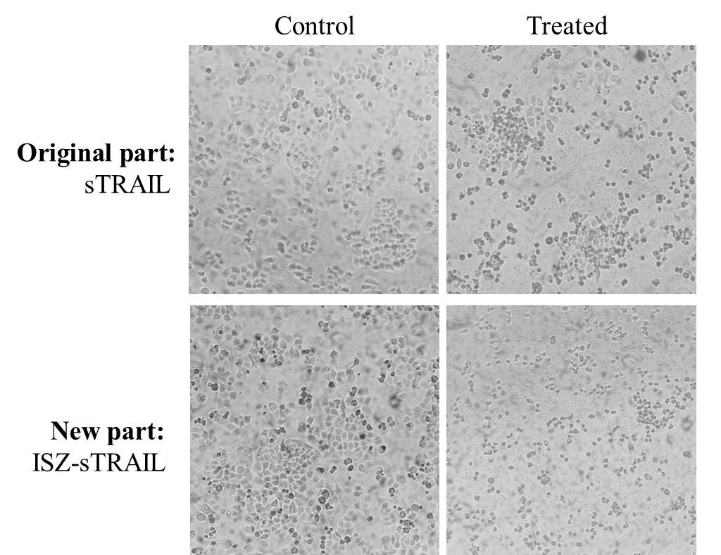 Team:AHUT China/Improved Parts - 2021.igem.org