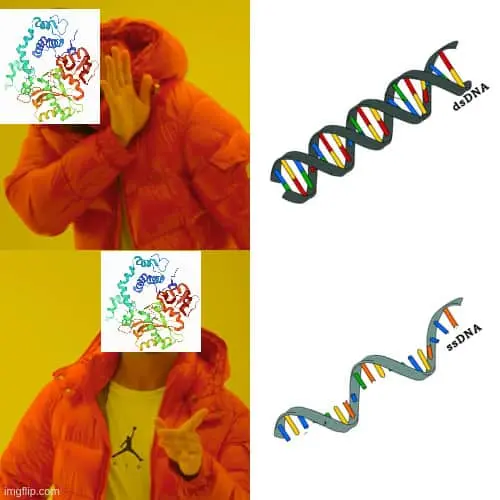 Team:Aachen/Memes - 2021.igem.org