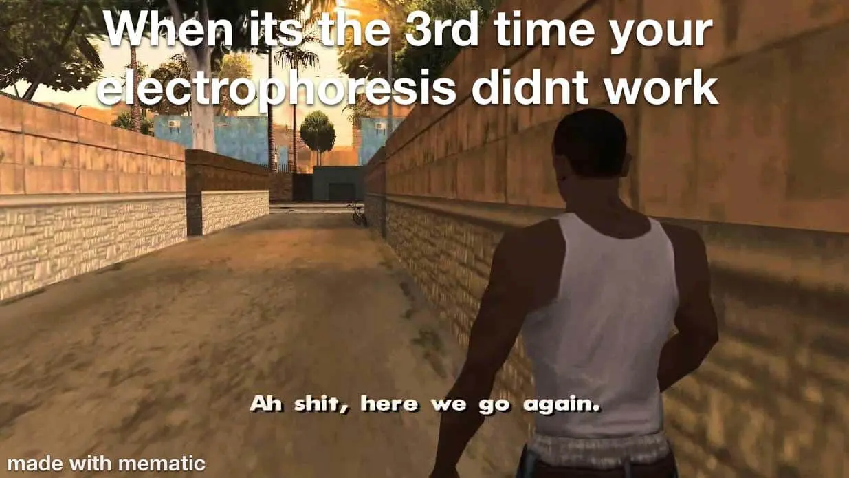 Team:Aachen/Memes - 2021.igem.org