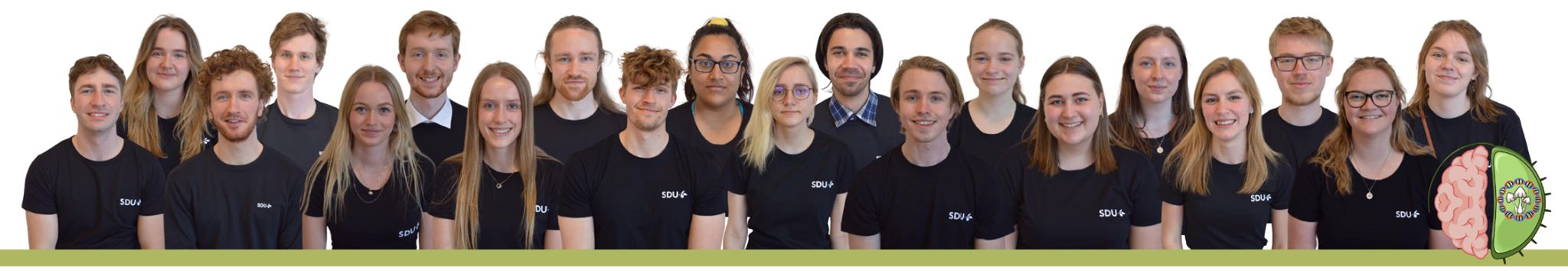 Team:SDU-Denmark/memes - 2021.igem.org