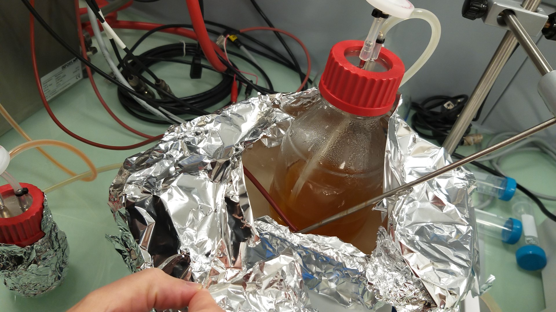 Team:Bulgaria/Model - 2021.igem.org