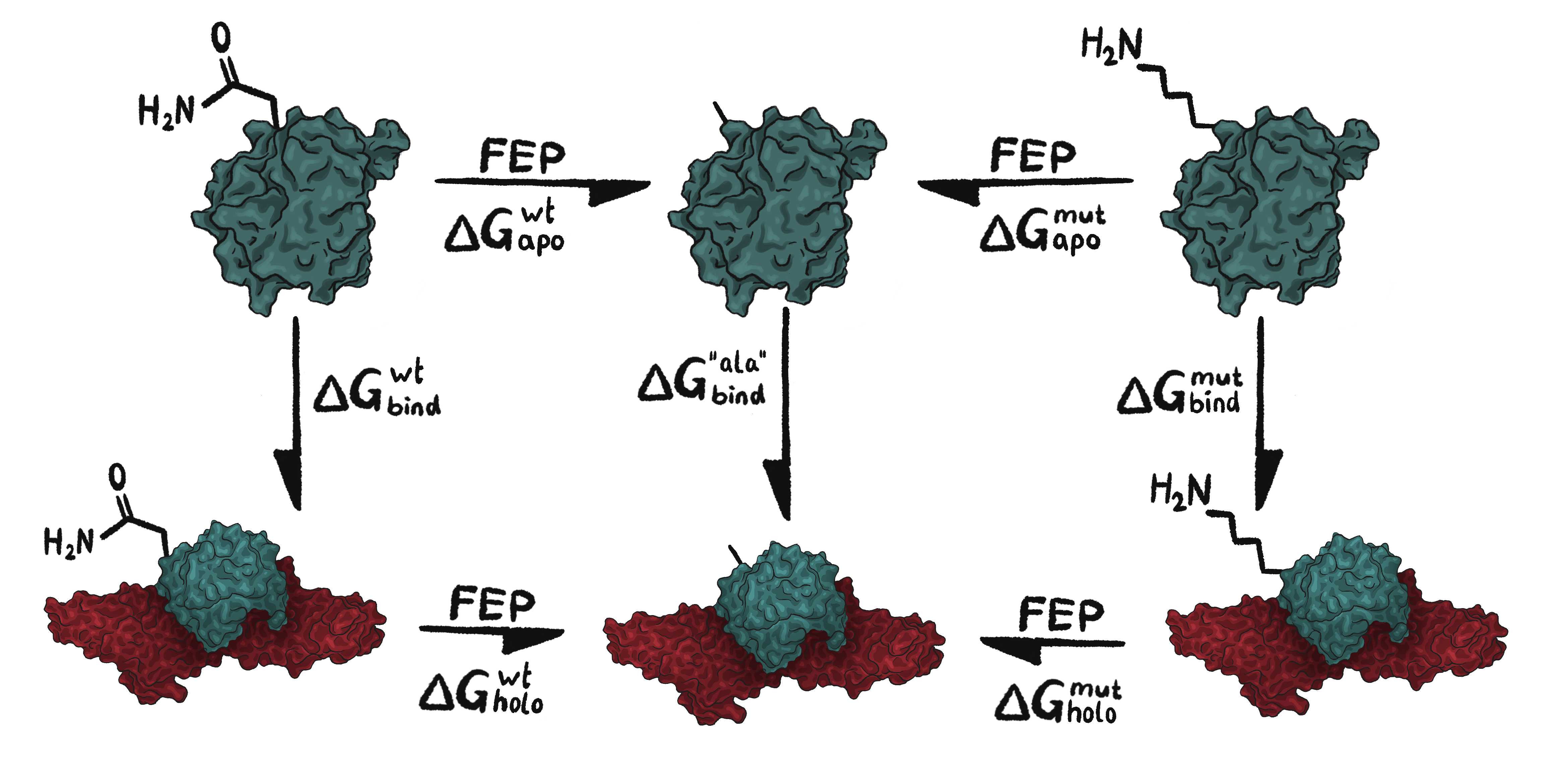 Team:Uppsala/Model - 2021.igem.org