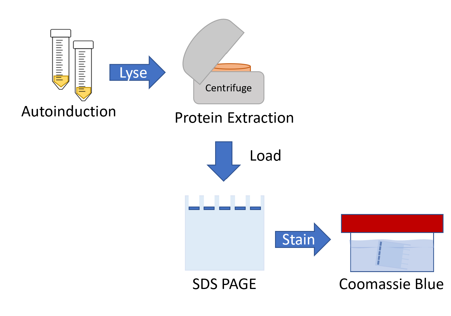 Team:Washington/Experiments - 2021.igem.org