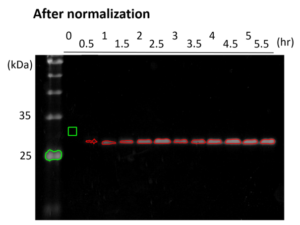 Team:CCU Taiwan/Medals - 2021.igem.org