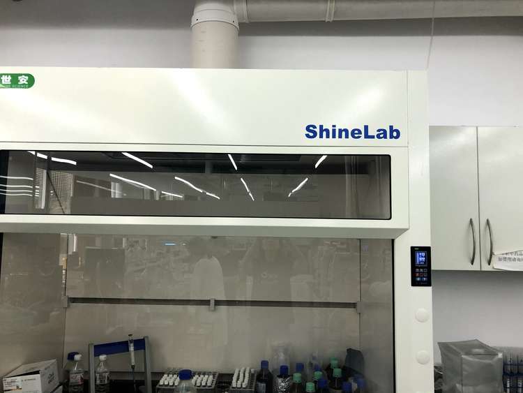 Team:SDSZ China/Safety - 2021.igem.org