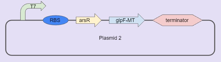 Team:Washington/Model - 2021.igem.org