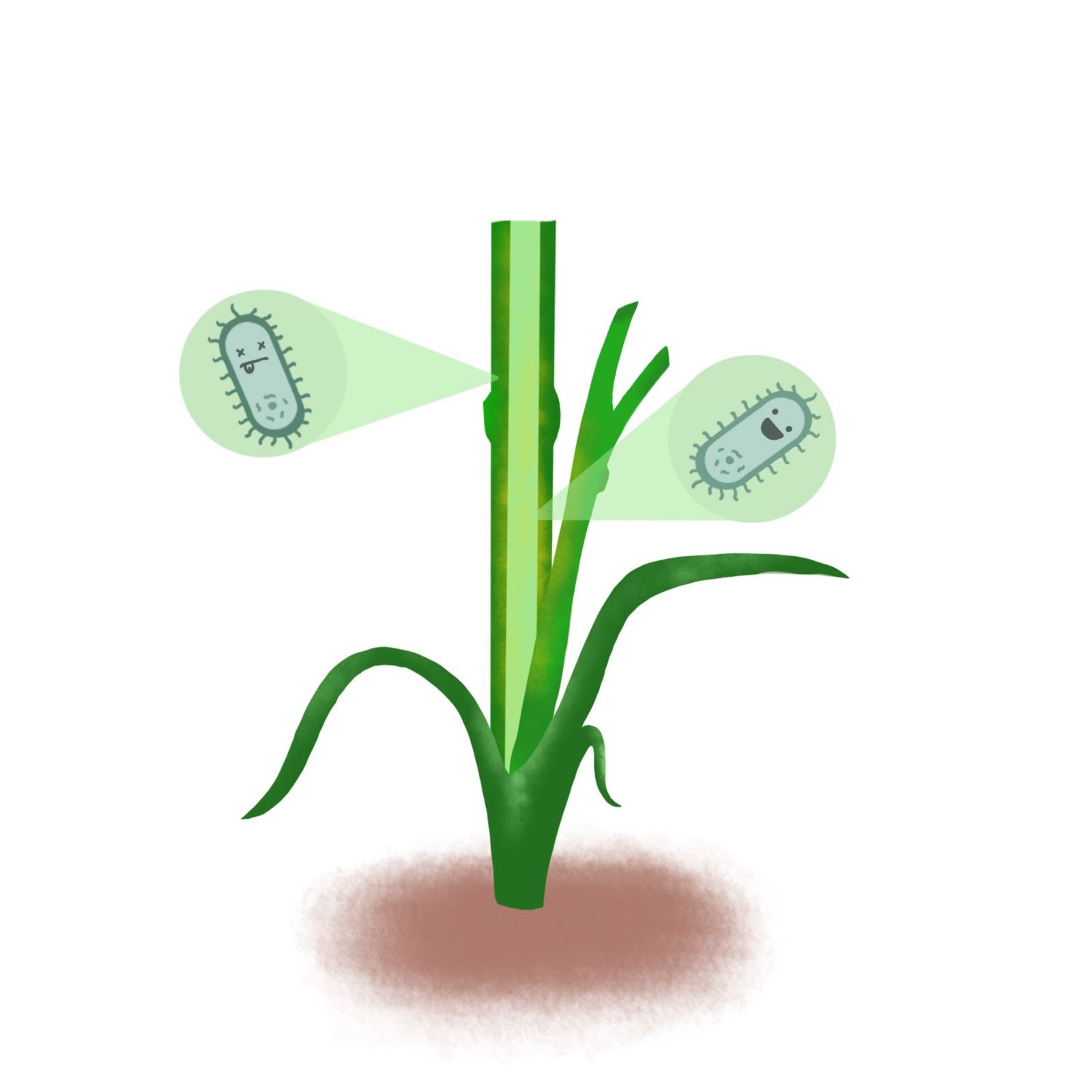 Team:MIT MAHE/Engineering - 2021.igem.org