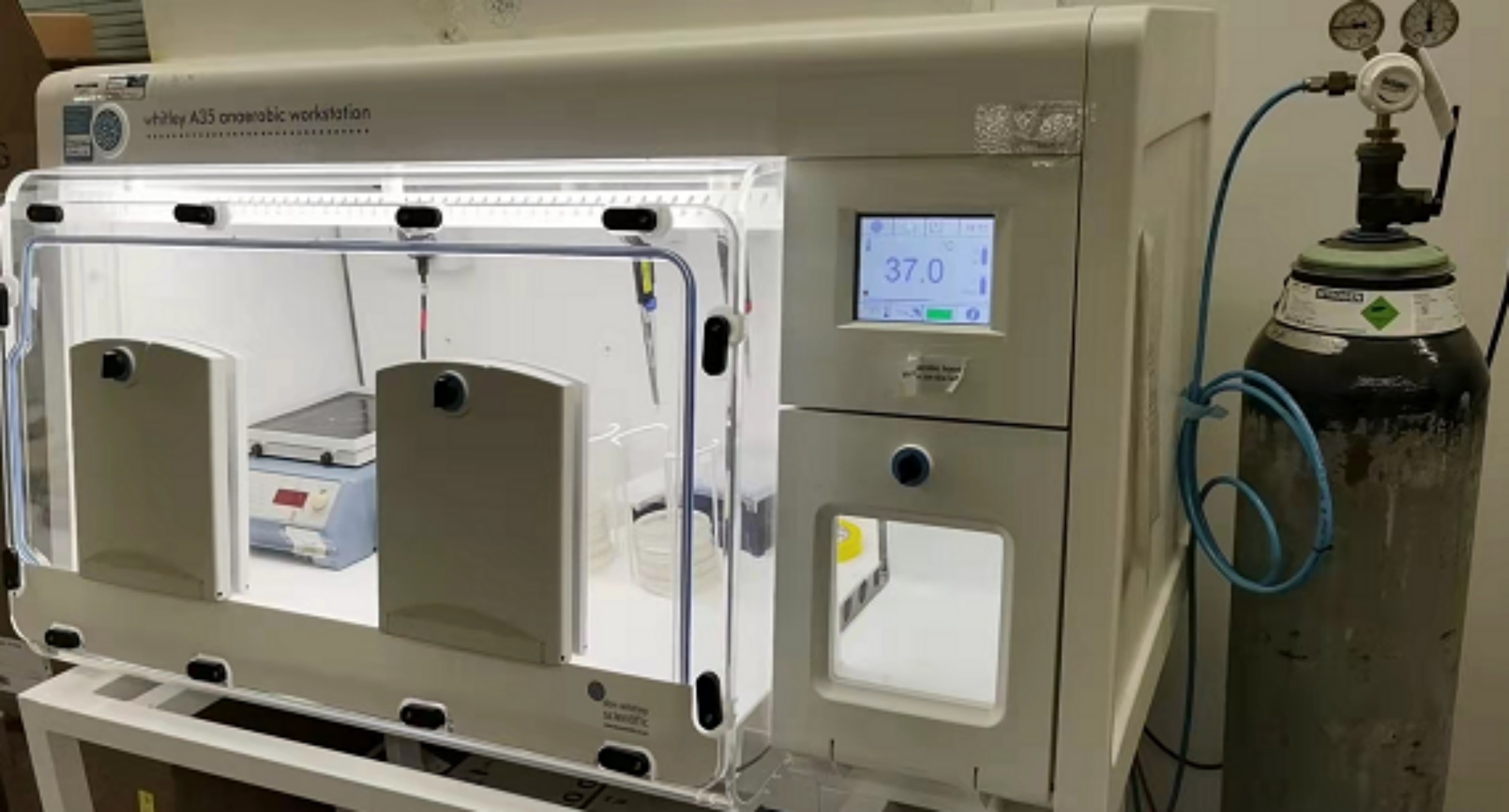 Team:BUCT/Results - 2021.igem.org