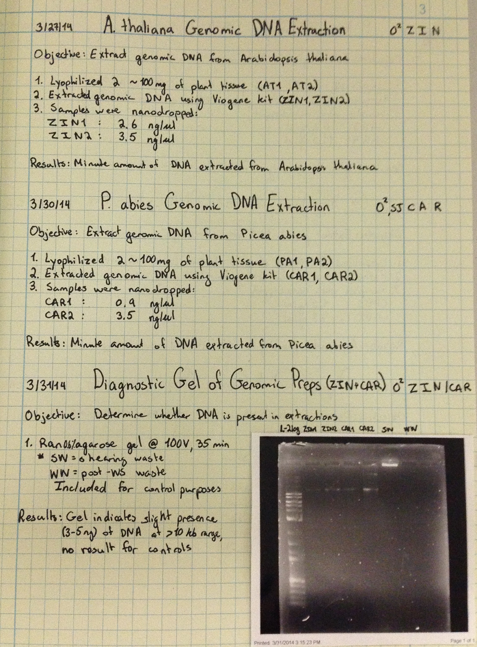 Team Vanderbilt Notebook 2014 igem