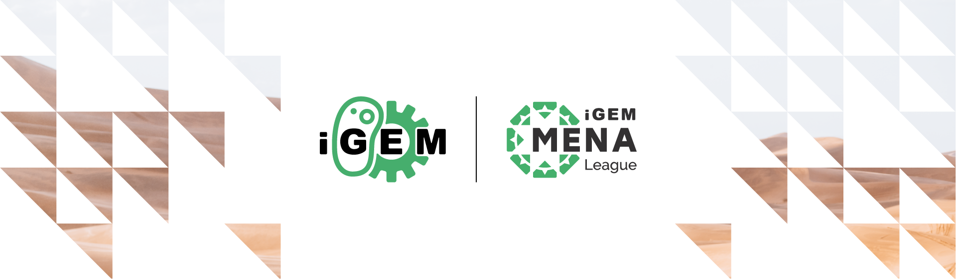 iGEM Leagues