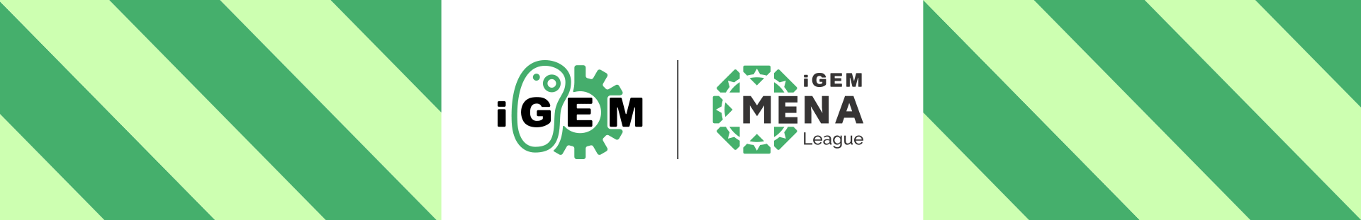 iGEM Leagues