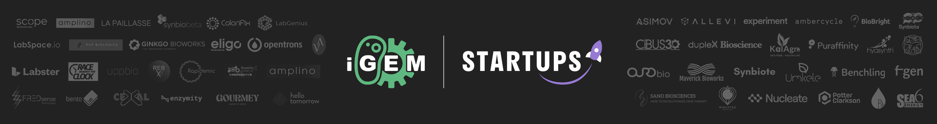 iGEM Startups